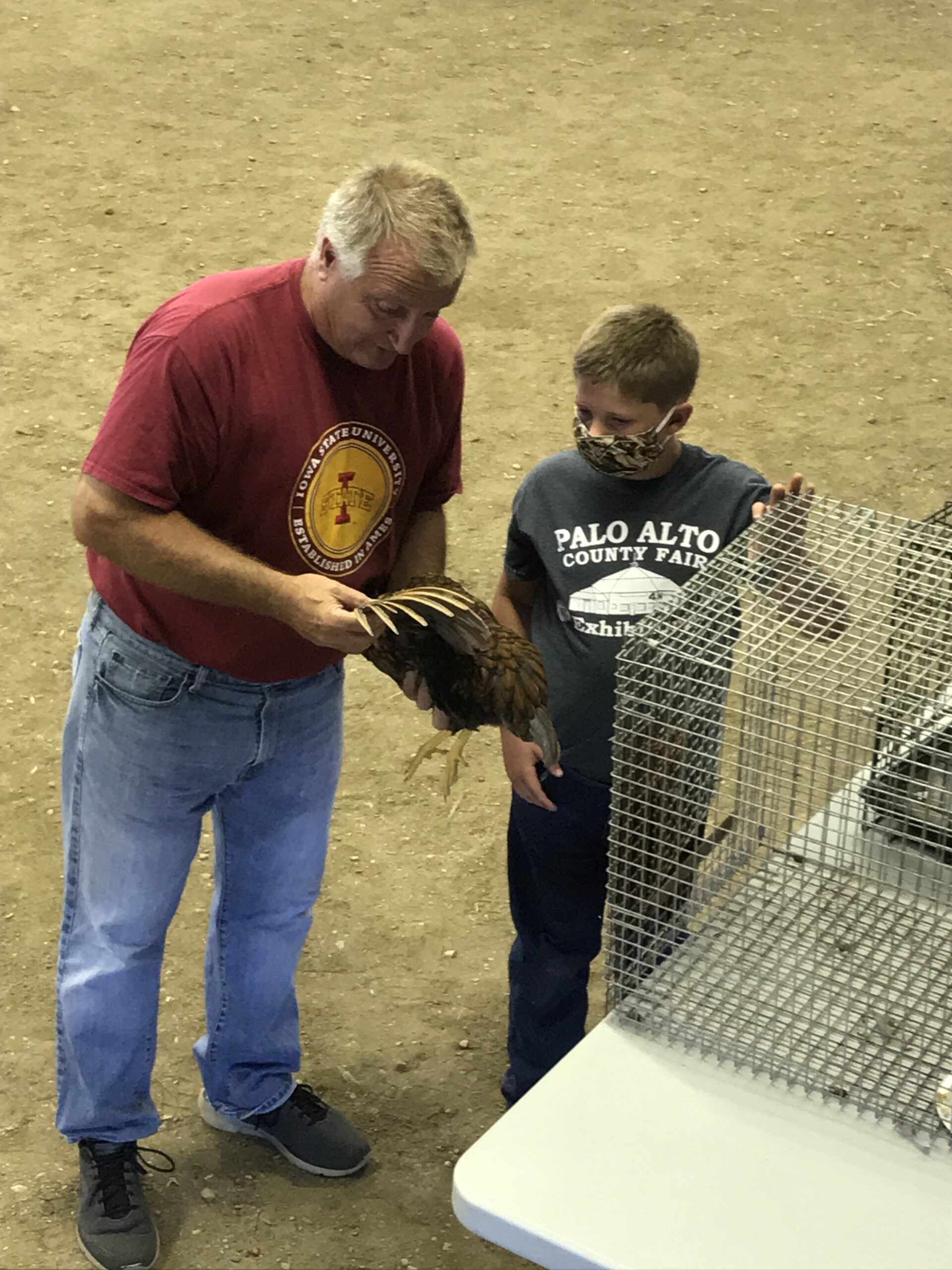 Gallery - Palo Alto County Fair