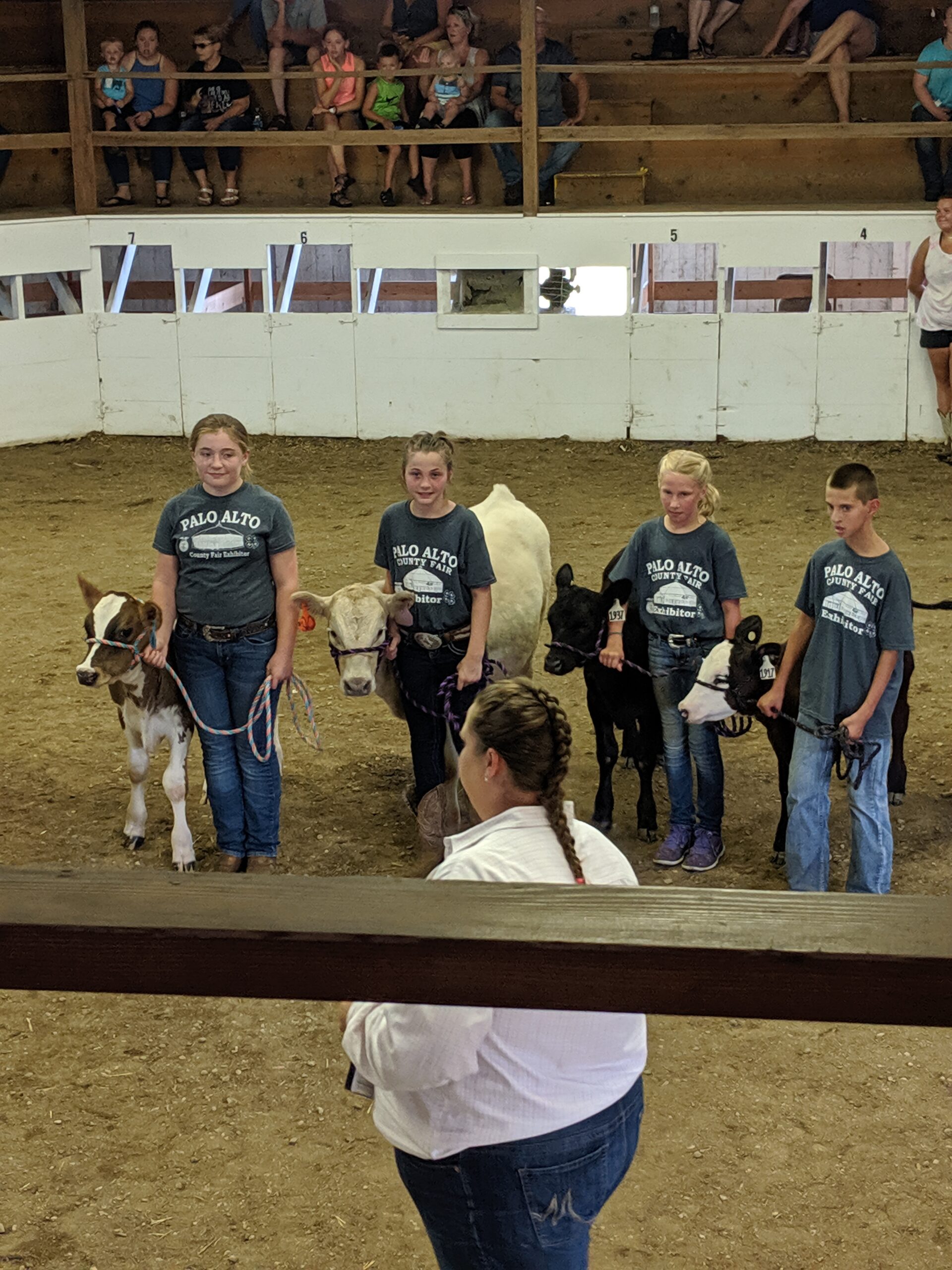 Gallery - Palo Alto County Fair